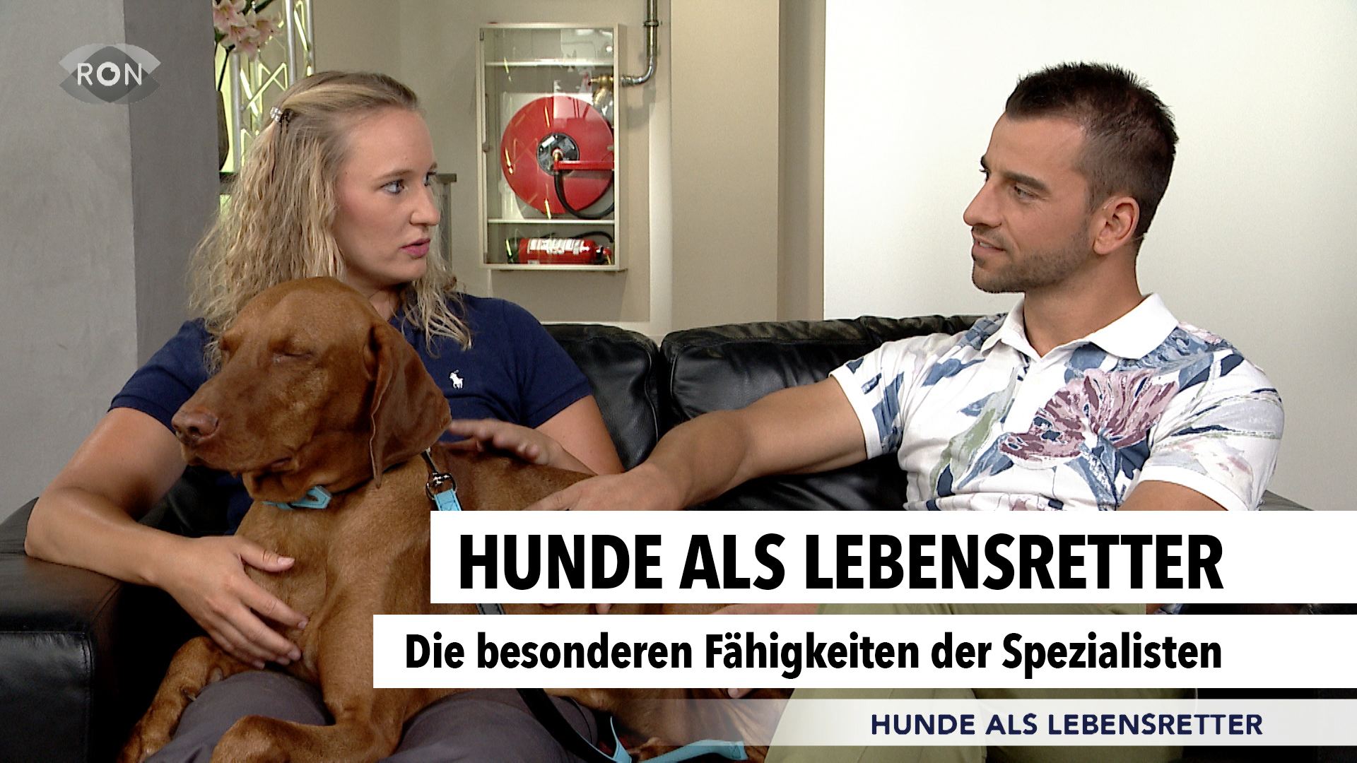 Hunde Als Lebensretter Ron Tv