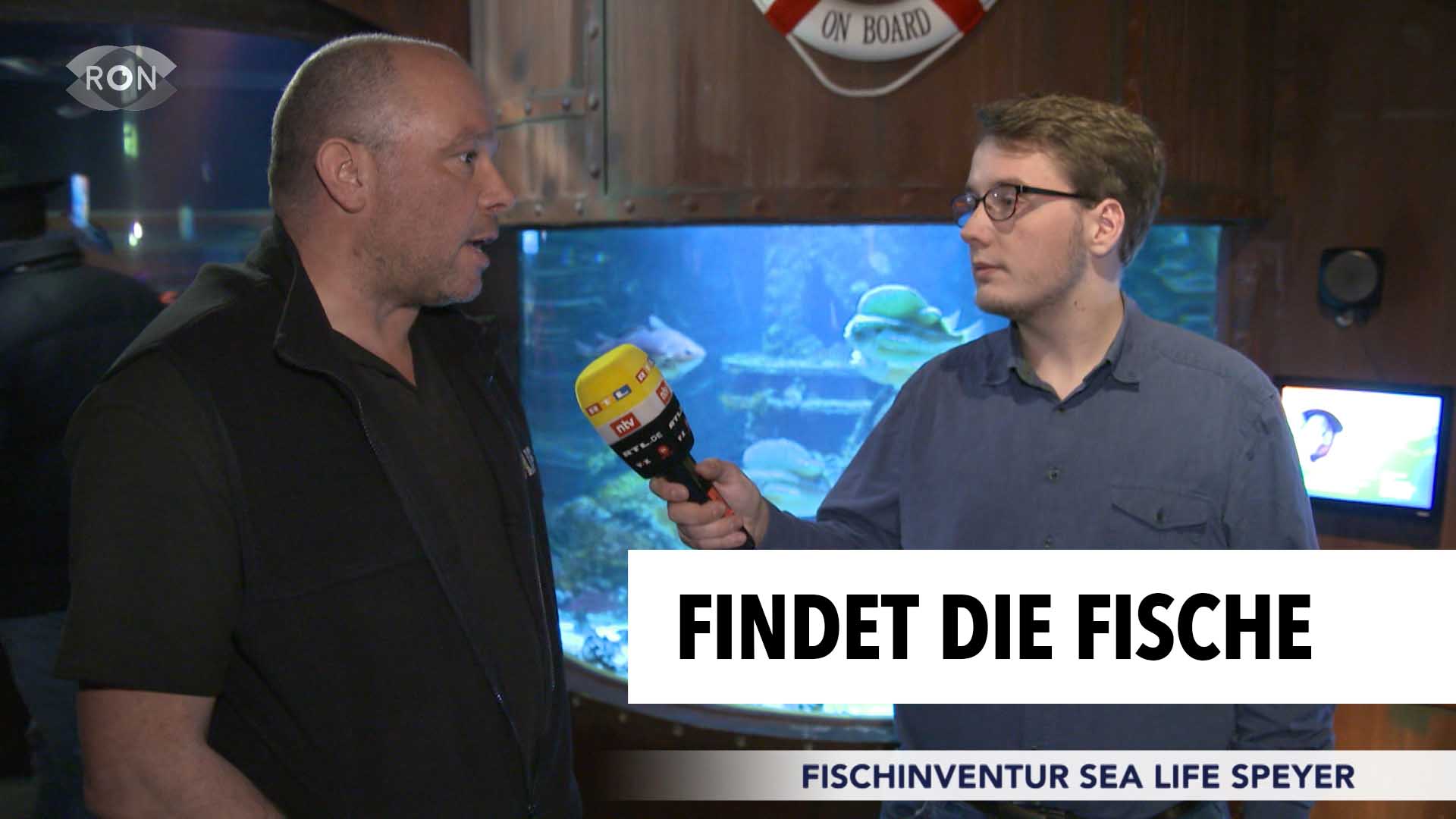 Fisch-Inventur - RON TV
