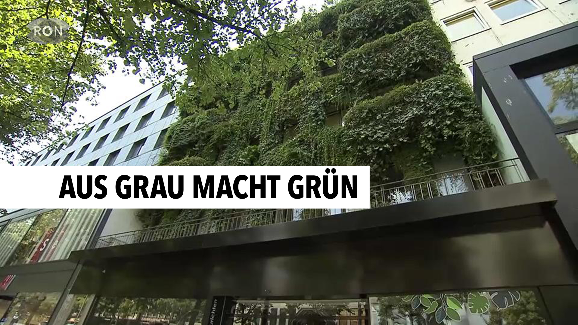 Fassadenbegrünung: Mannheim gewinnt - RON TV Fassadenbegrünung: Mannheim gewinnt - RON TV
