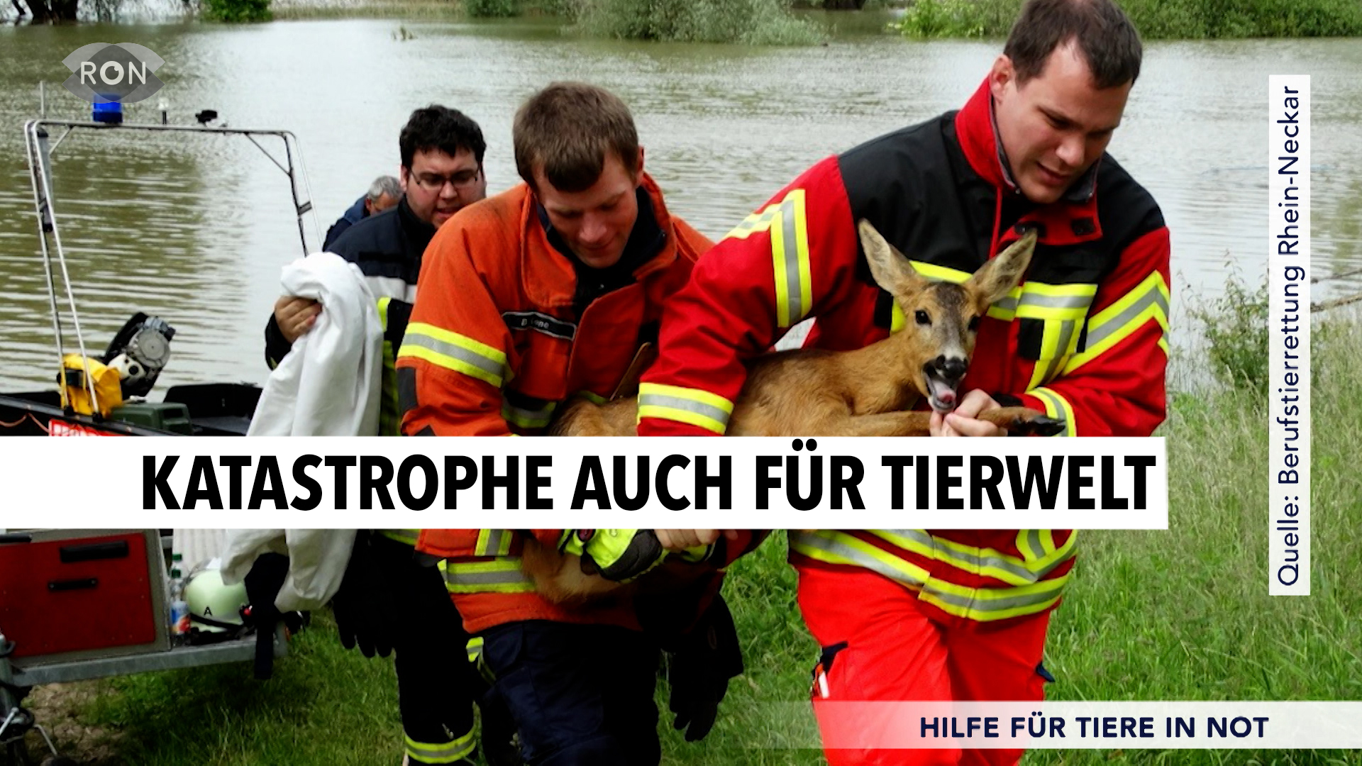 Im Einsatz Tierretter Im Hochwassergebiet Ron Tv