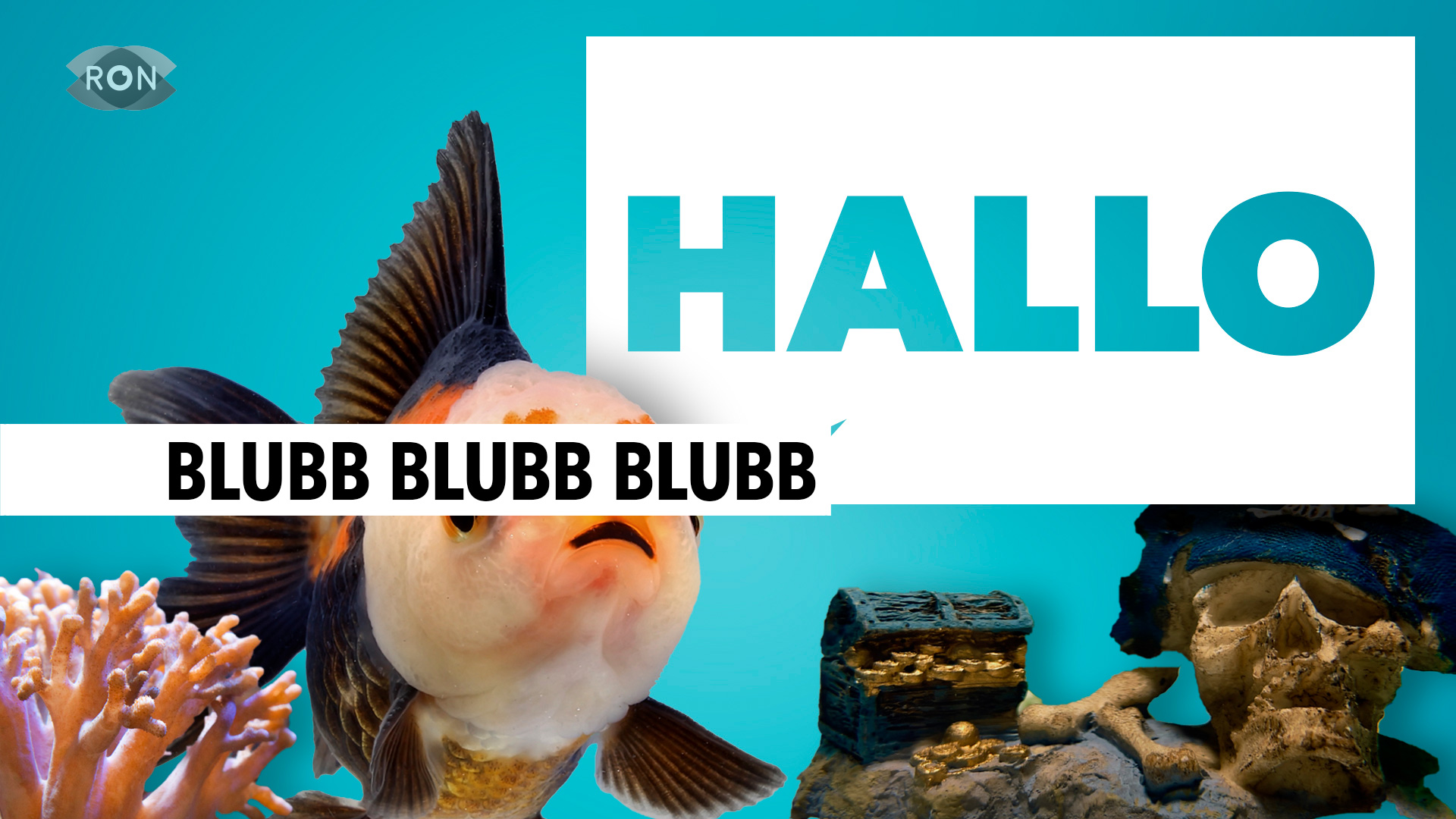 Stumm wie ein Fisch – von wegen! - RON TV
