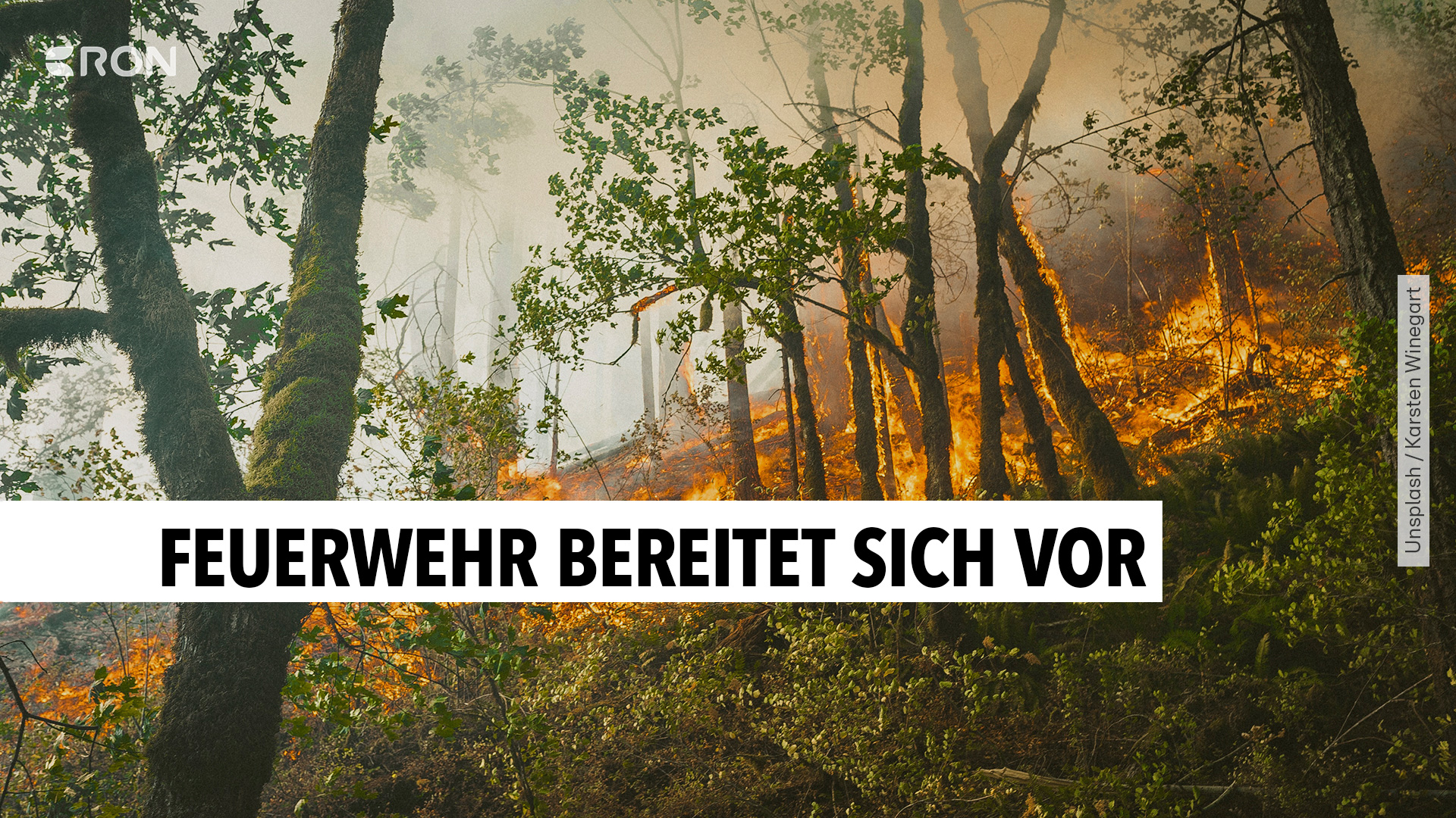 Zweithöchste Waldbrandstufe für Baden-Württemberg - RON TV
