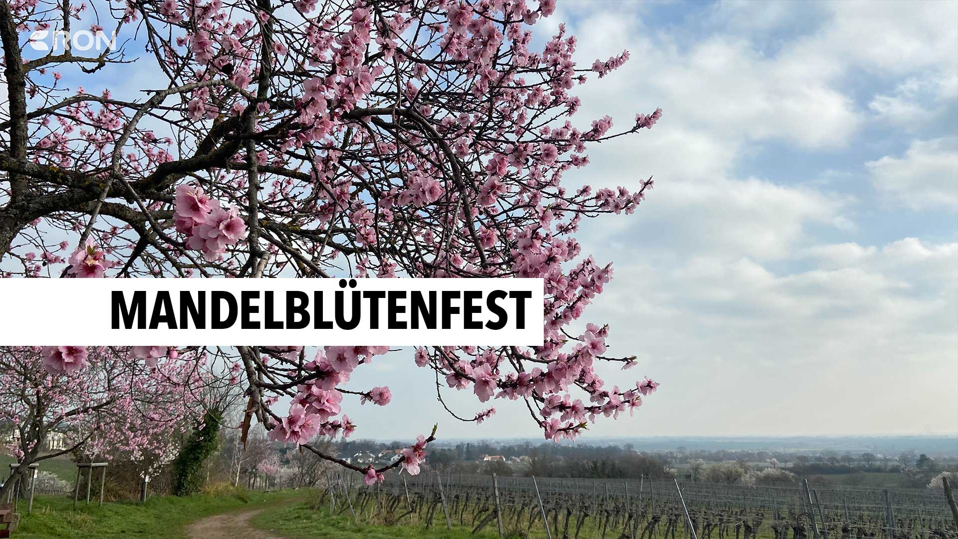 Frühling in der RON-Region - RON TV