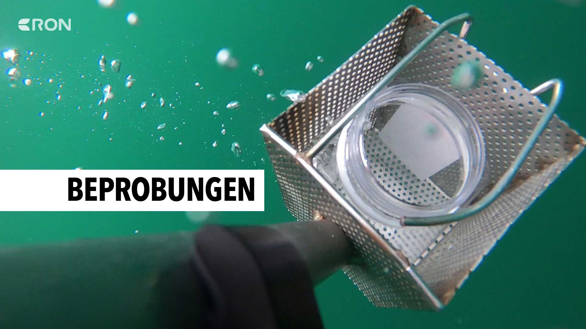 Wie gut ist die Wasserqualität in unseren Seen? - RON TV